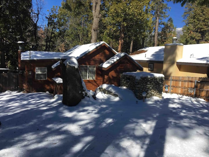Peaceful Pines-dog’s Stay Free! Fenced Yard! - Idyllwild-Pine Cove, CA