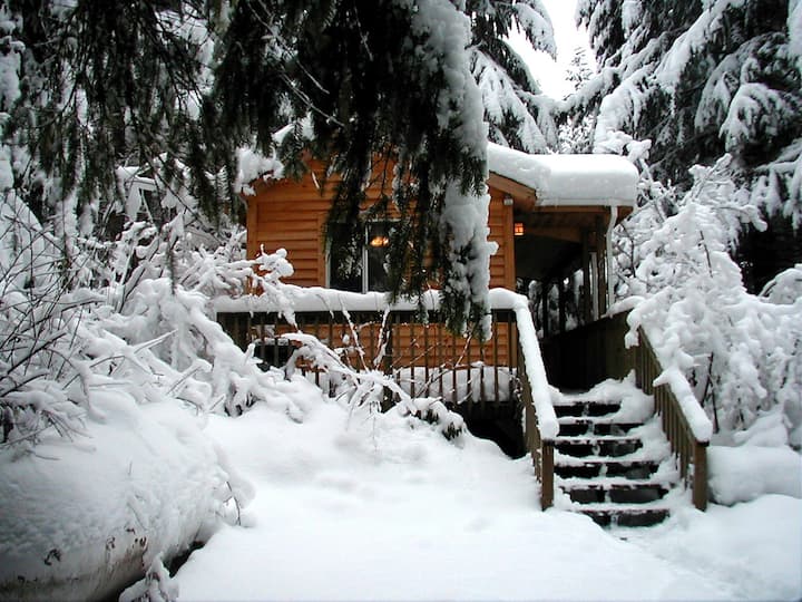 Hot Tub-cozy Studio: Mtn Lily Cabin At Mt. Rainier - Ashford, WA