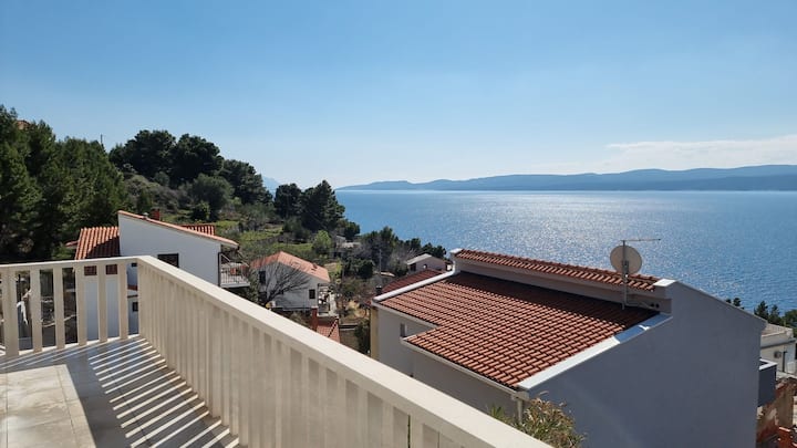 Villa Tomasovic - Mimice