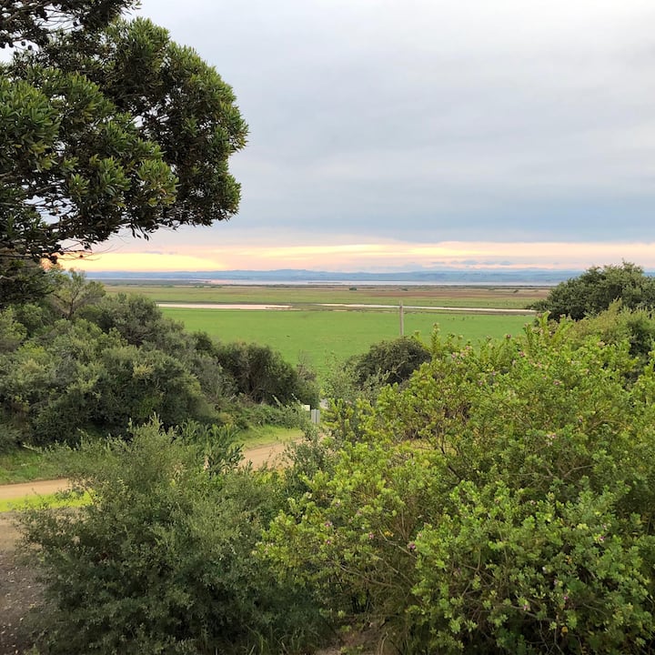 Venus Bay Beach House With Anderson Inlet Views - Venus Bay