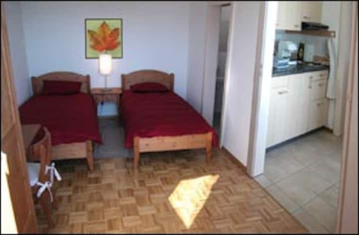 Chambres Dans Les Vignes, Vue Magnifique - Vevey