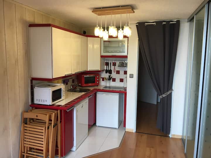 Studio Confortable Au Pied Des Pistes Praloup 1600 - Pra-Loup