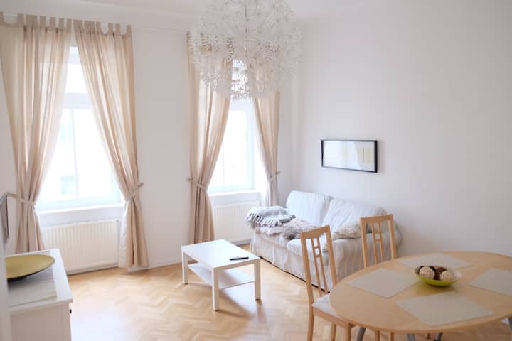 Apartment In A Turn Of The Century Building - Viena