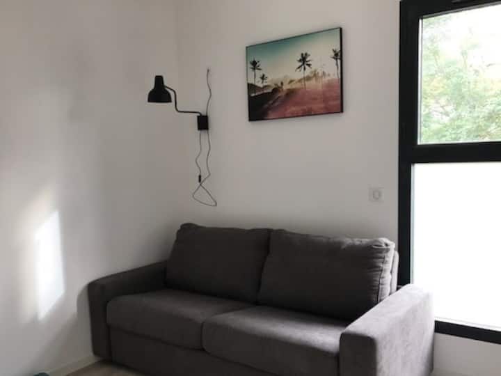 Studio Fibre Et Climatisé Talence 20 Mn Bordeaux - Talence