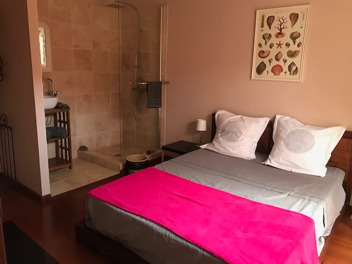 Chambre Sous Son Cocotier - Saint-Gilles les Bains
