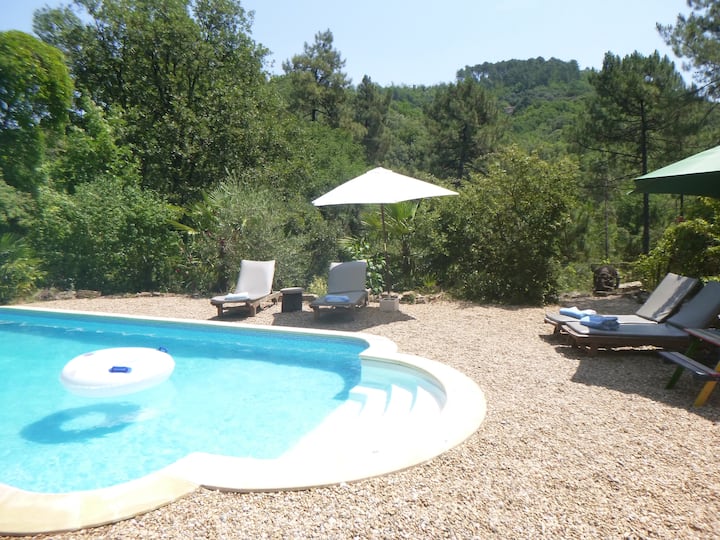 Cevennes Stone House & Private Pool - Anduze