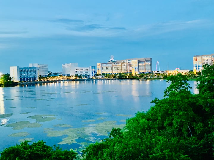 Lake View Cozy Studio Next To Universal Studios! - Disaster!, Orlando