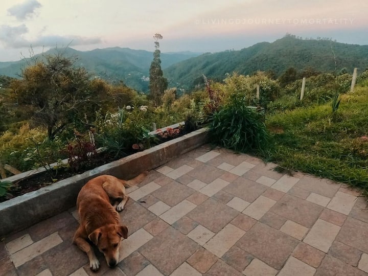 Kookal Holiday Rentals & Homes - Tamil Nadu, India | Airbnb