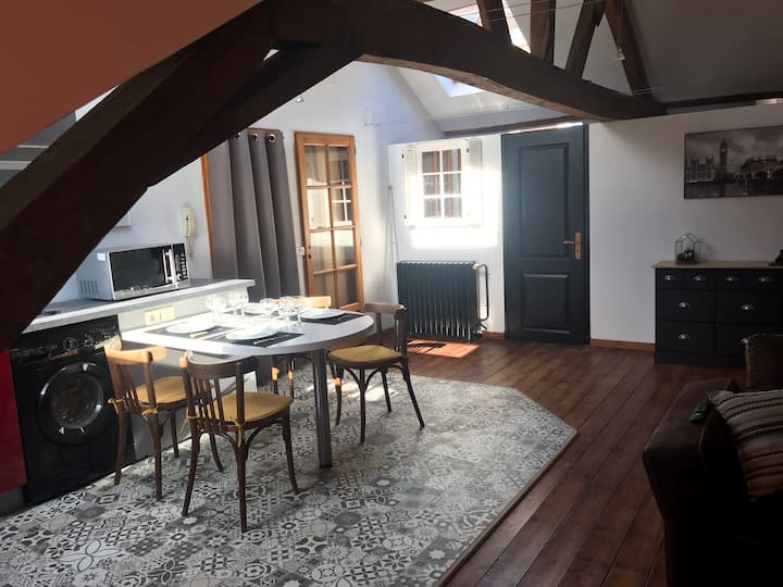 Logement Atypique Dans Maison De Maître - Roubaix