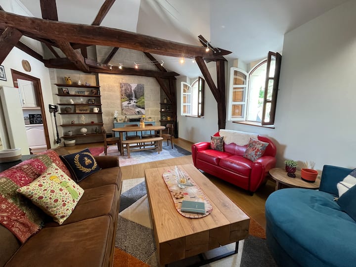 L’authentique - Vue Loire Et Château - 4 Pers - Saumur