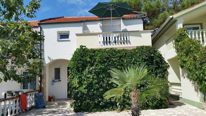 Apartment Marina - Vir