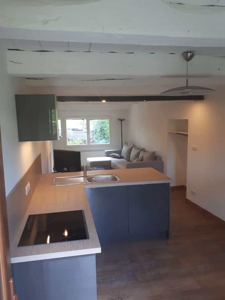 Studio 35 M² En Rez De Jardin - Aix-les-Bains