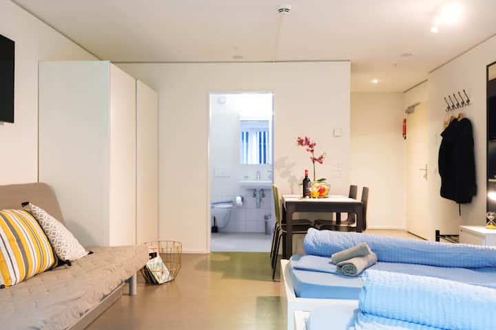 Nadelwehr Iii Comfortable 1.5 Room Apt - Lucerna