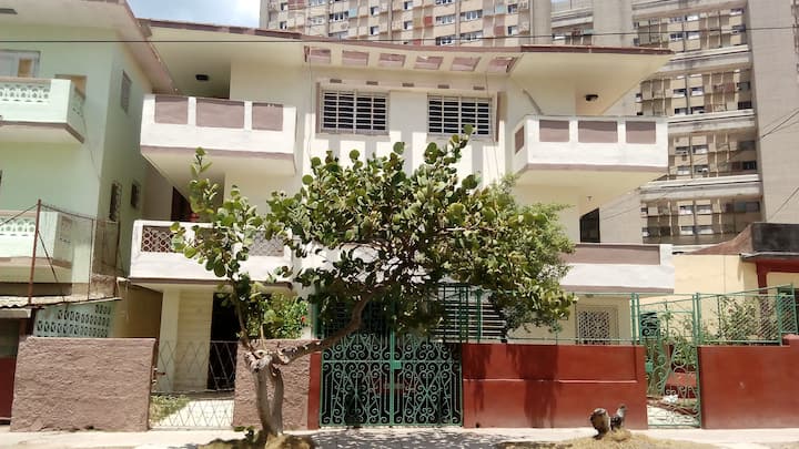 House Of Gisela - Havana