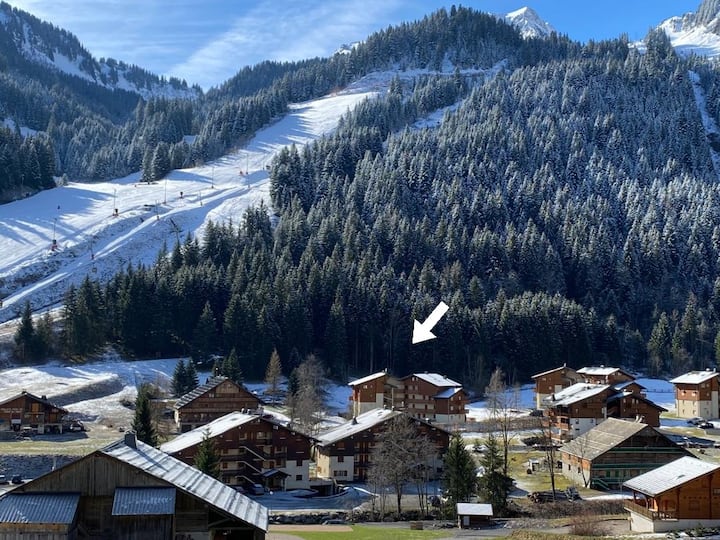 Cocon à 2 Pas Des Pistes Du Linga - Châtel
