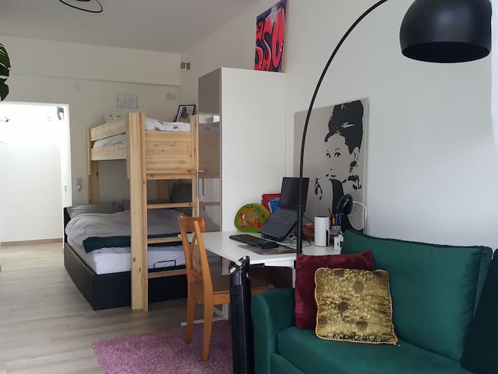 Nice Well-accessible Gastsuite/studio In Amsterdam - Zaandam