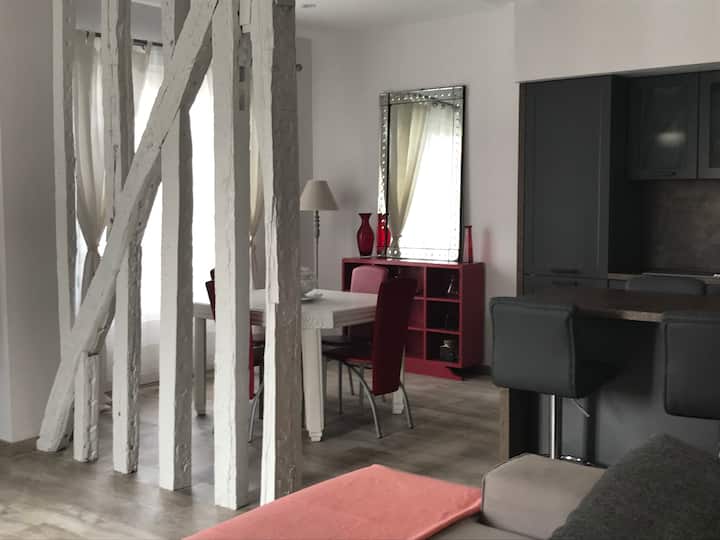 Logement De Standing - Mirepoix