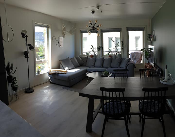 Leilighet På Hasle - Oslo
