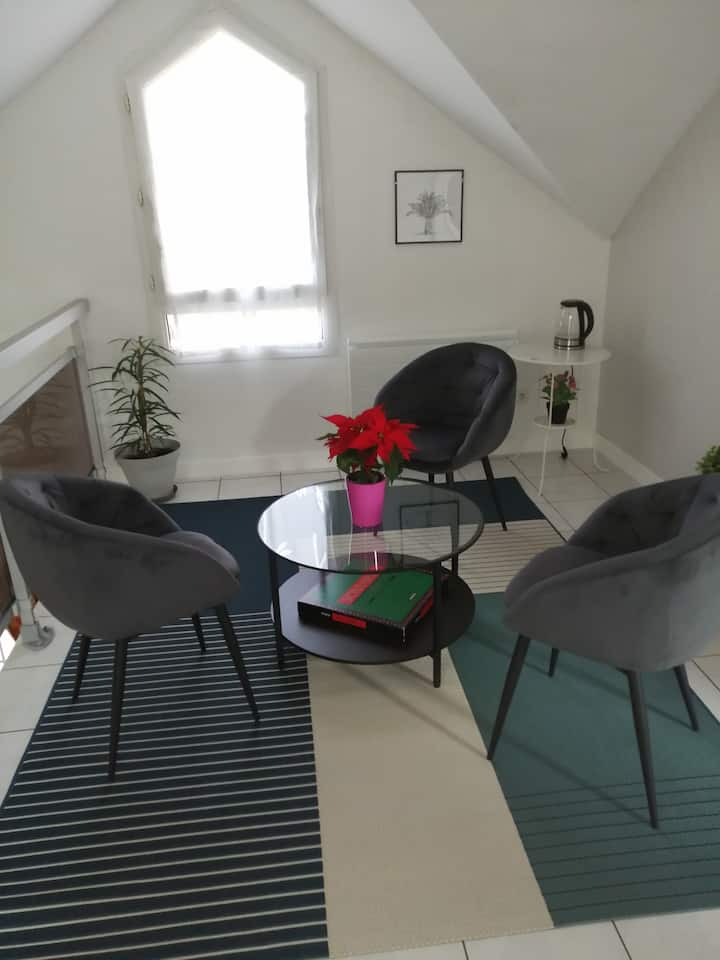 La Maison De Lilou 2, Sdb Privée, Parking, Calme - Metz