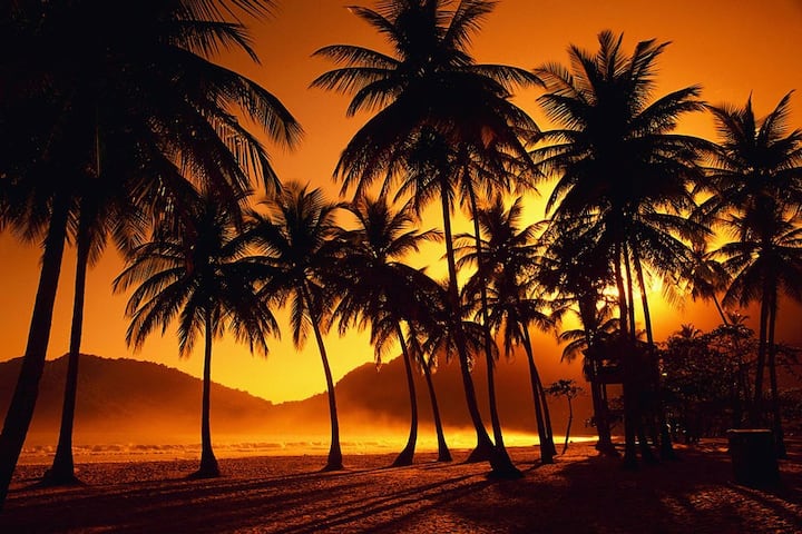 Unit 4, Oasis At Palm Cove, Spacious 2 Bedroom - Palm Cove