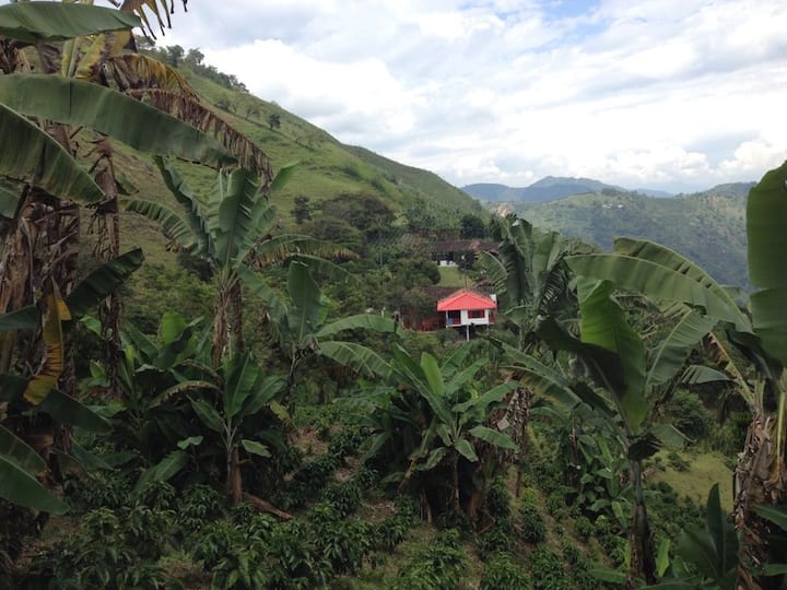 Finca Corozal: Unique Experience On A Coffee Farm - Marsella