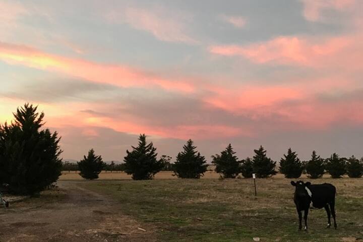 The 10 Best Farm Stays In And Near Melbourne, Australia - | Trip101