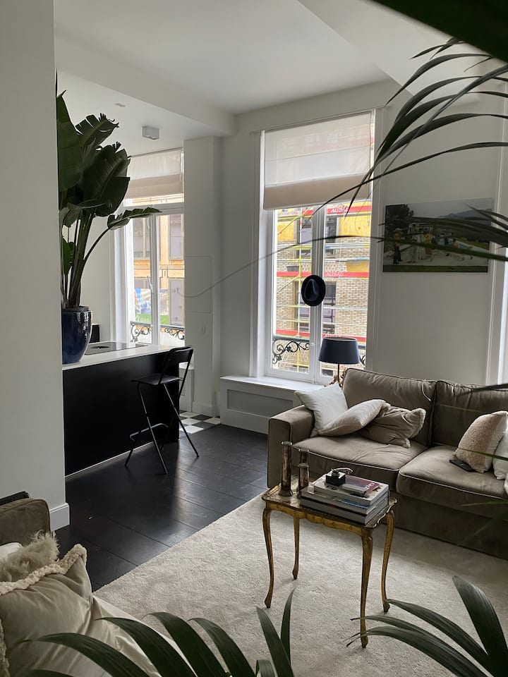 Charming Apartment In The Heart Of Antwerp - Antwerp