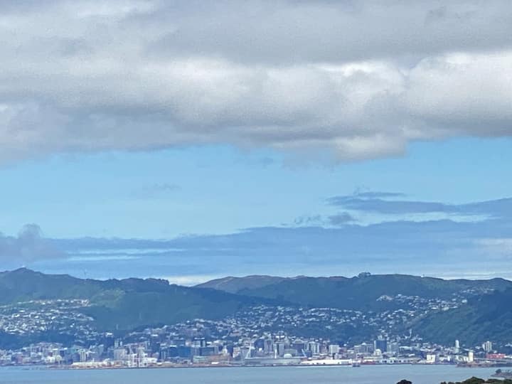 Luxurious 5 Bed Magical Views - Wellington