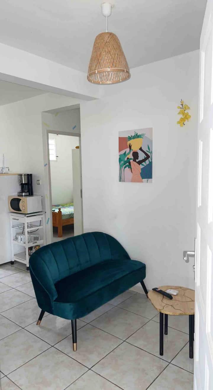 Appartement Corossol - Le Morne Rouge