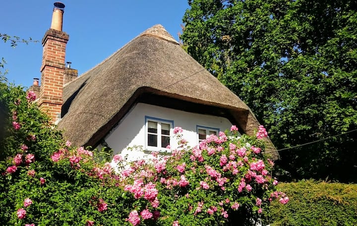 Chestnut Cottage Studio In Picturesque Wherwell - Andover