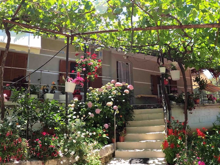 Pine House 2-himare - Borsh