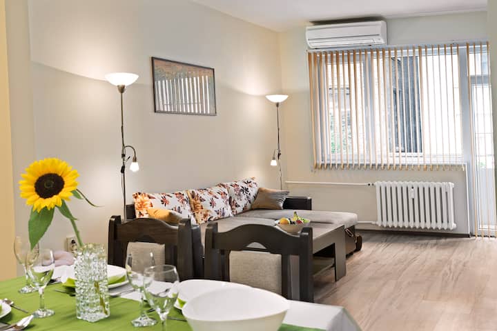 Solunska Apartment • Spacious • Superb Location - Sofia