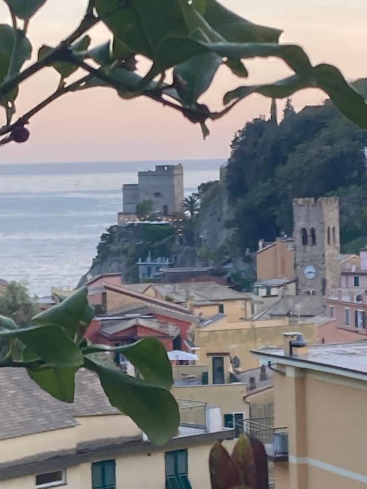 Apartment With Balcony With Seaview 011019-lt-0039 - Monterosso al Mare