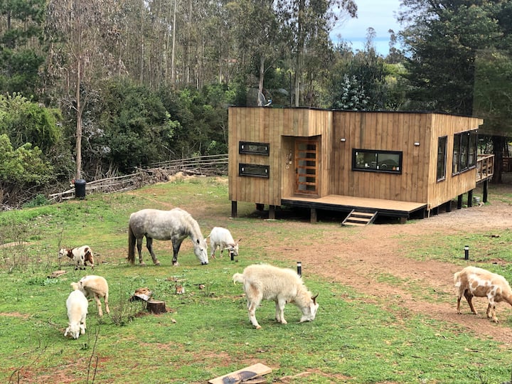 Casa Campo Costa Maule - Pelluhue