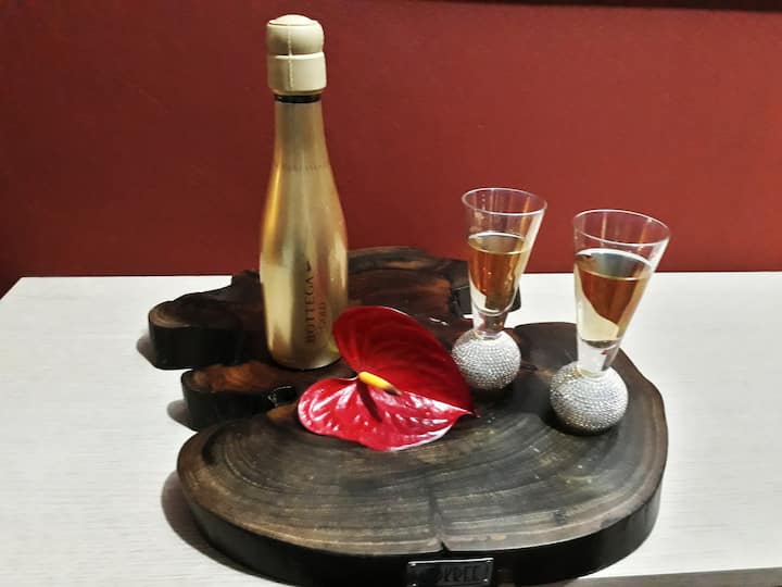 Mello´s Family - Curitiba