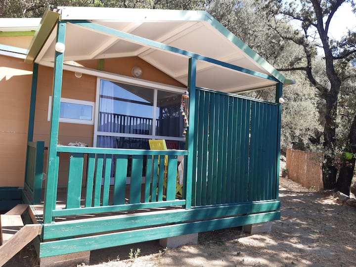 Bungalow En Pleine Nature - Olmeto