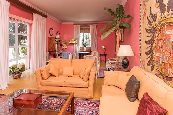 Historic Palazzo By The Sea With 11 Bedrooms - Dénia