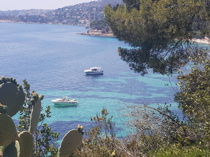 03b T1 Cabine, Terrasse,garage,piscine,plage 400 M - Plage du Lavandou