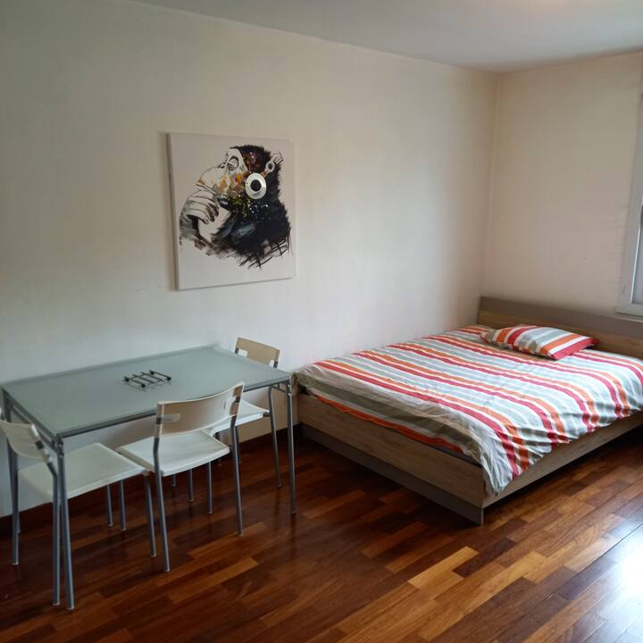 Studio 30m2- Parking Sécurisé Hopitaux, Fac, Neoma - Bezannes