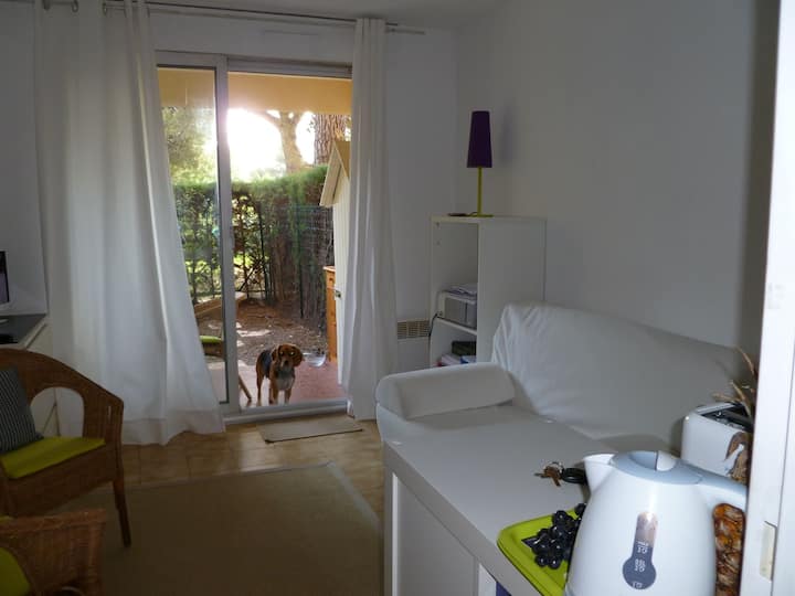 50m Plage Charmant Studio - Saint-Raphaël