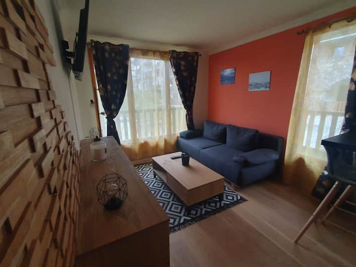 Appartement Cosy Près Des Pistes - Besse-et-Saint-Anastaise