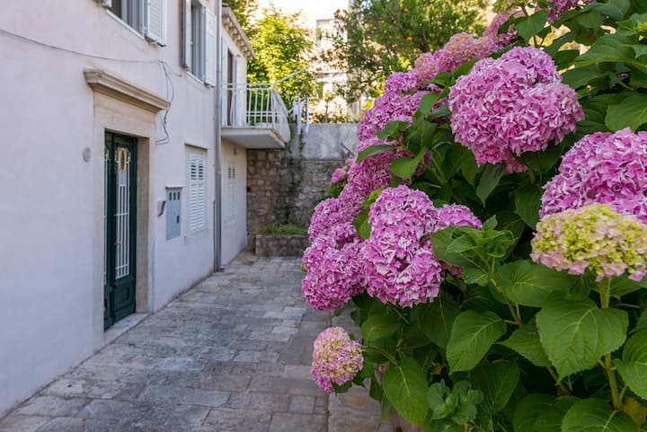 Kings Landing  Apartment 2 - Dubrovnik (Ragusa)