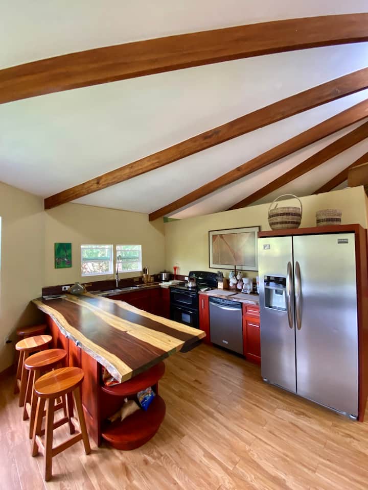 Pedestal Monkey Reserve Ac/wifi/free Shuttle. - Belize