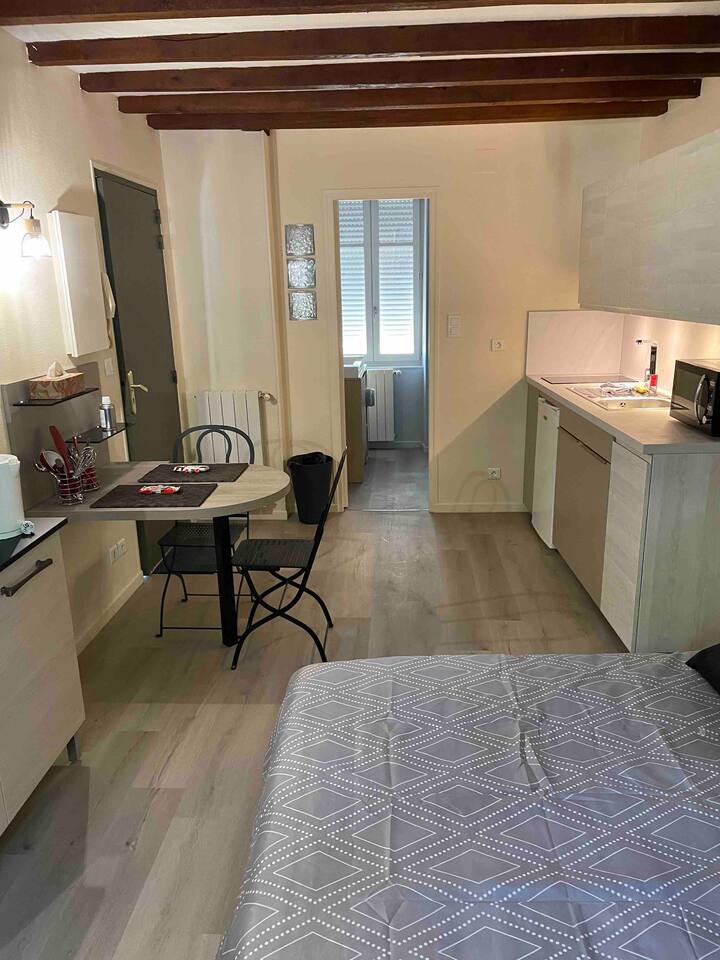 Apt Studio Avec Wifi Et Climatisation 1 Lit Double - Nevers