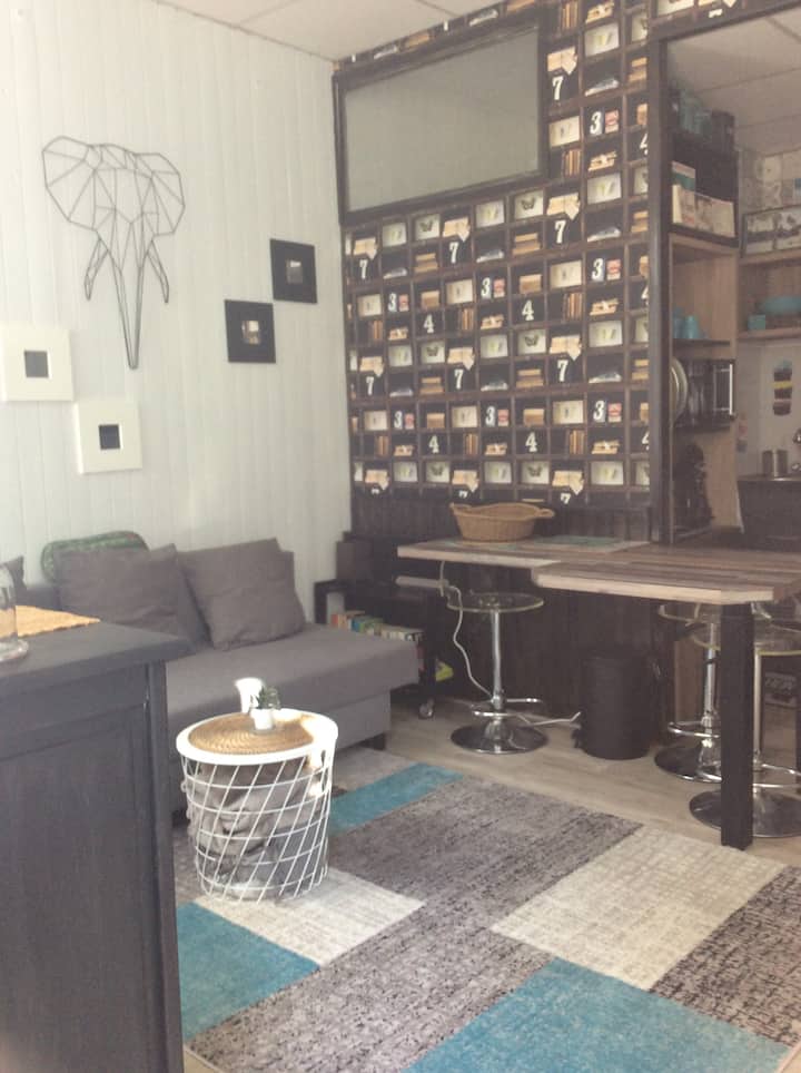 Mignon Studio Dans Le Centre/places De Parking . - Lac d'Artouste