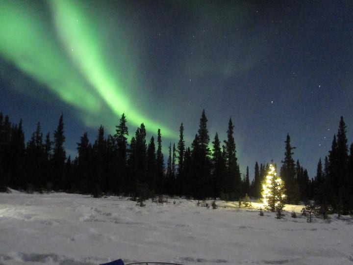 Falcon’s Nest At Revine Creek - Alaska