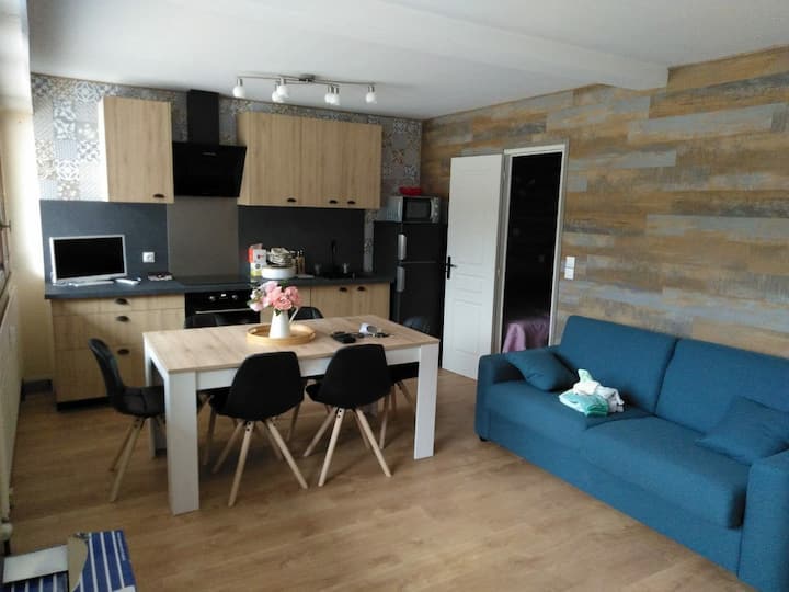 Appartement 35 M2 Proche Luge Park Et Centre Ville - Corrençon-en-Vercors