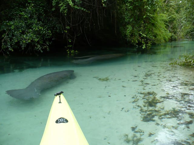 15 Best Things To Do In Brooksville, Florida - Updated 2021 | Trip101