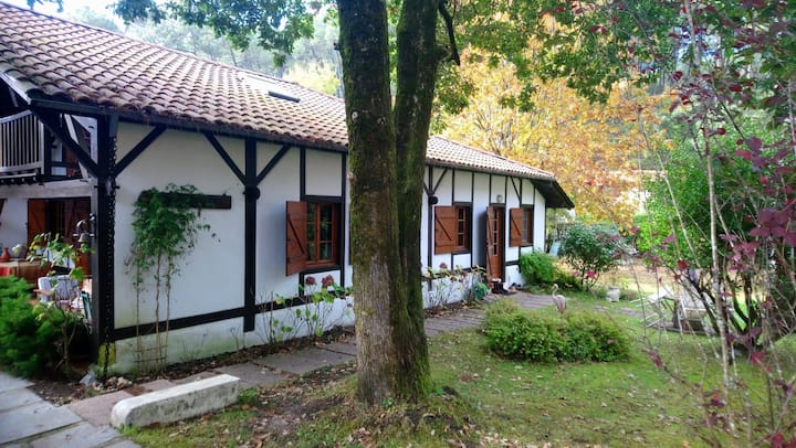 Maison Landaise Sous Les Pins - Soorts-Hossegor