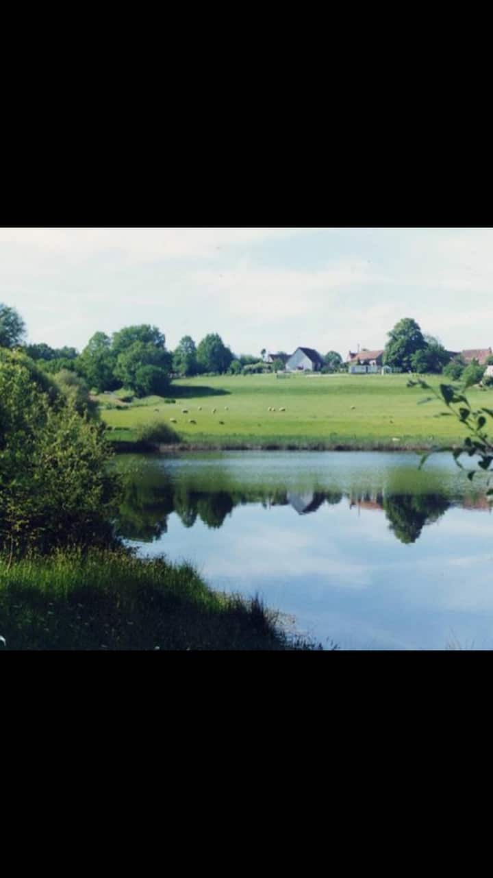 Natural Fishing Lake With Forest - Saint-Yrieix-la-Perche